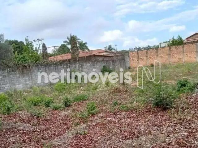 Terreno comercial para Venda em Belo Horizonte/MG Garças