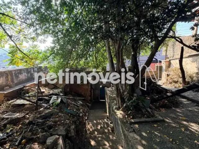 Terreno comercial para Venda em Belo Horizonte/MG Dom Bosco