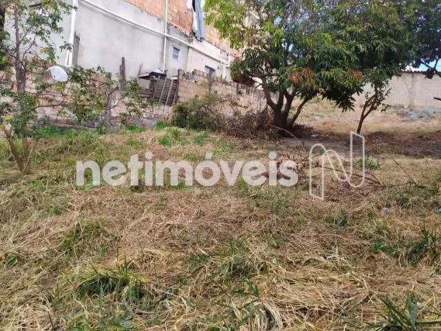 Terreno comercial para Venda em Belo Horizonte/MG Ouro Minas