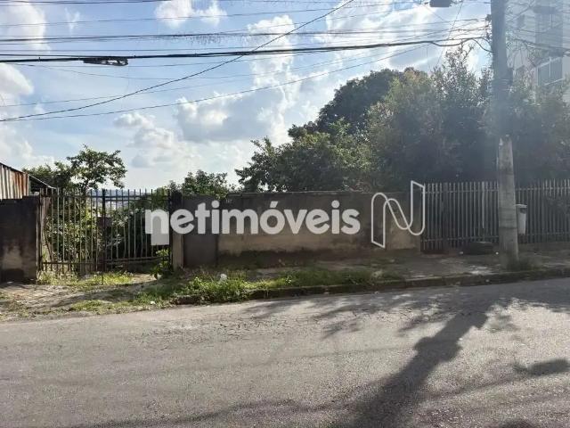 Terreno comercial para Venda em Belo Horizonte/MG Nova Floresta