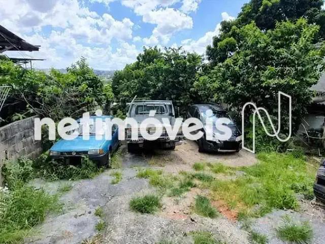 Terreno comercial para Venda em Belo Horizonte/MG Nova Floresta