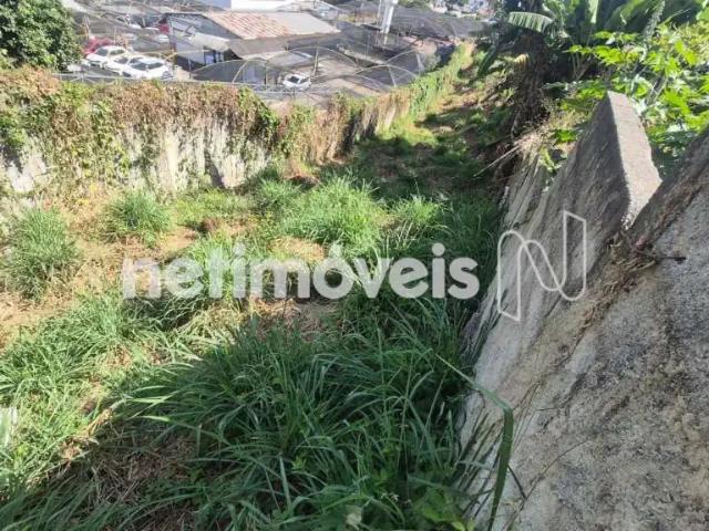 Terreno comercial para Venda em Belo Horizonte/MG São Francisco