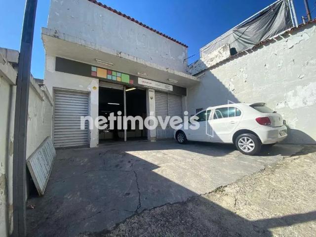 Terreno comercial para Venda em Belo Horizonte/MG Sagrada Família