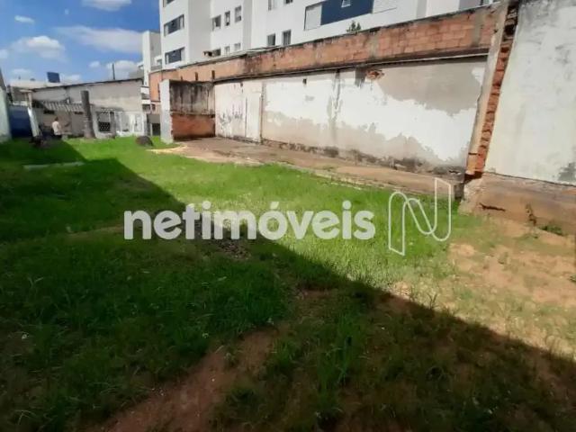 Terreno comercial para Venda em Belo Horizonte/MG Sagrada Família