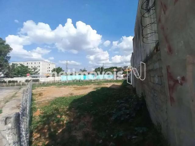 Terreno comercial para Venda em Belo Horizonte/MG Serrano