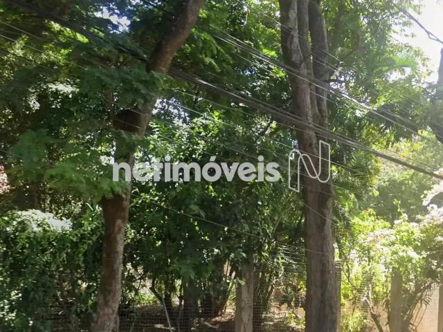Terreno comercial para Venda em Belo Horizonte/MG Paquetá
