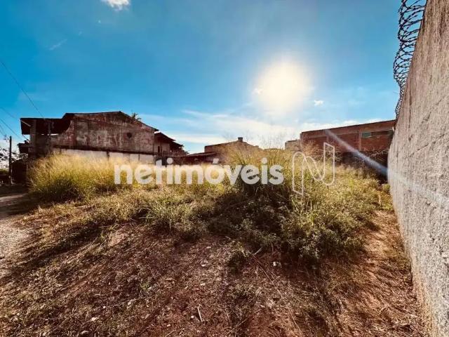 Terreno comercial para Venda em Belo Horizonte/MG Urca