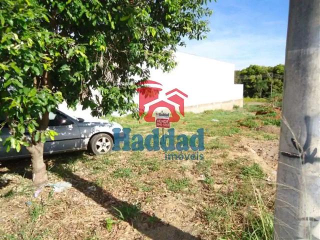 Terreno comercial para Venda em Birigui/SP Centro