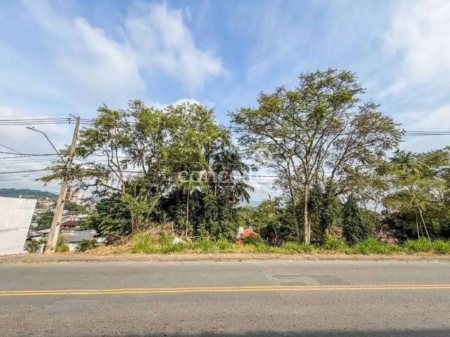 Terreno comercial para Venda em Blumenau/SC Salto Weissbach