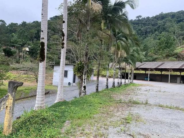 Terreno comercial para Venda em Blumenau/SC Velha Central