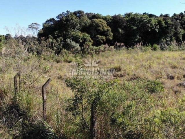 Terreno comercial para Venda em Curitiba/PR Cidade Industrial
