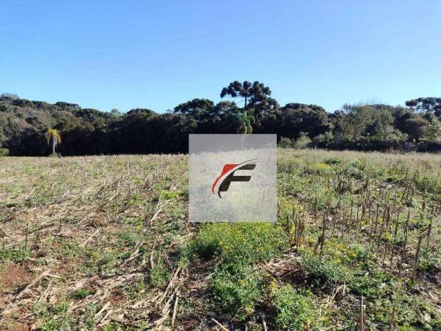 Terreno comercial para Venda em Curitiba/PR Ganchinho
