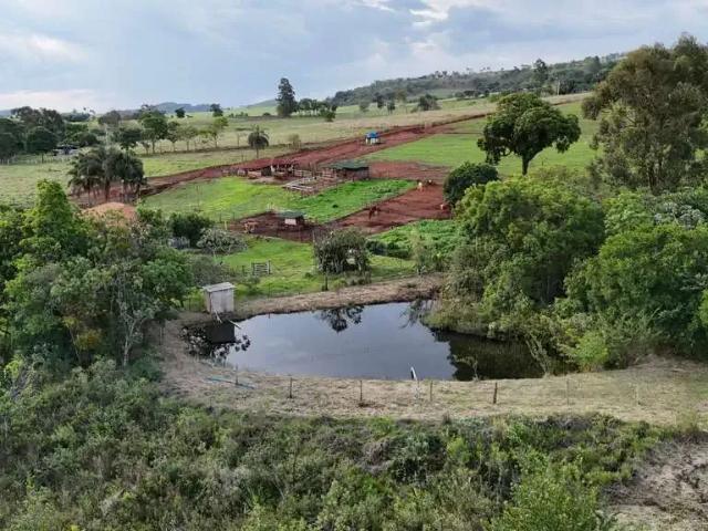 Terreno comercial para Venda em Cajuru/SP Três Marias