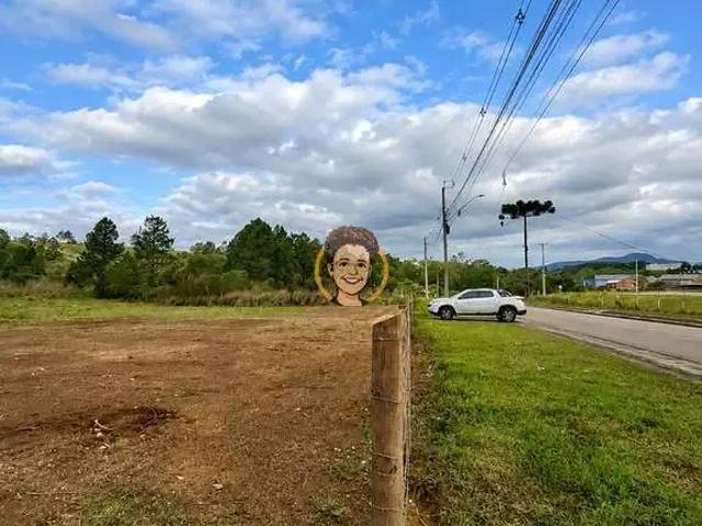 Terreno comercial para Venda em Campina Grande do Sul/PR Área Industrial