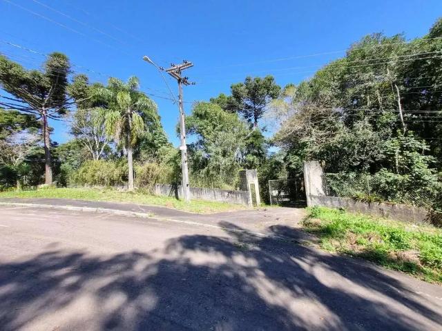 Terreno comercial para Venda em Campina Grande do Sul/PR Recanto Verde