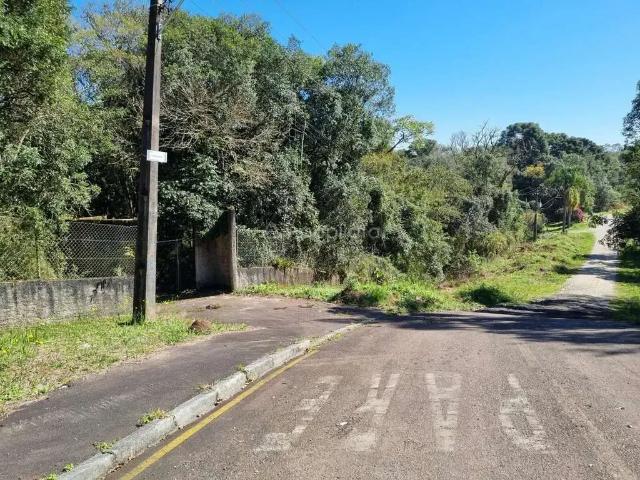 Terreno comercial para Venda em Campina Grande do Sul/PR Recanto Verde