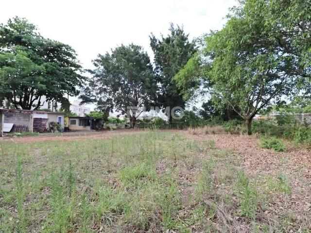 Terreno comercial para Venda em Campinas/SP Chácara da Barra