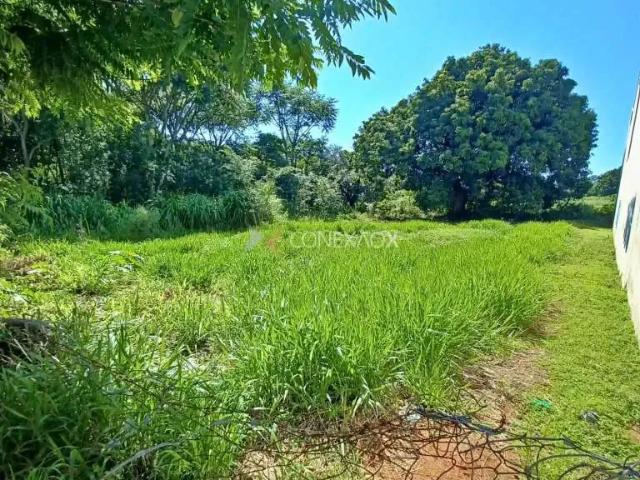 Terreno comercial para Venda em Campinas/SP Cidade Universitária