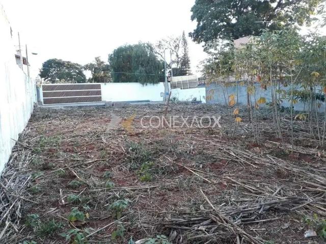 Terreno comercial para Venda em Campinas/SP Cidade Universitária