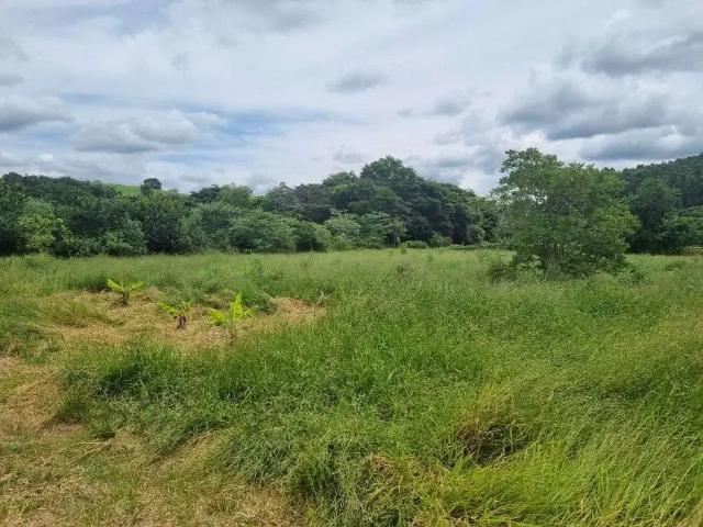 Terreno comercial para Venda em Campinas/SP Joaquim Egídio