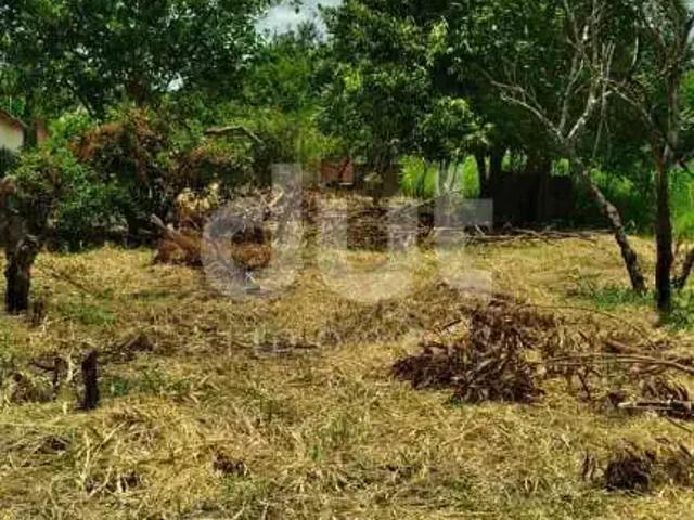 Terreno comercial para Venda em Campinas/SP Jardim Nova Esperança