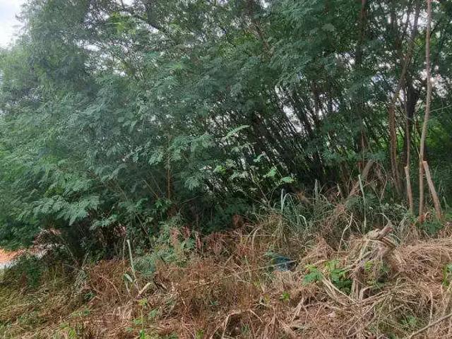 Terreno comercial para Venda em Campinas/SP Jardim Paraíso