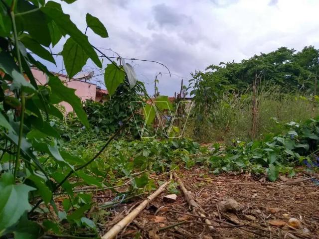 Terreno comercial para Venda em Campinas/SP Sousas