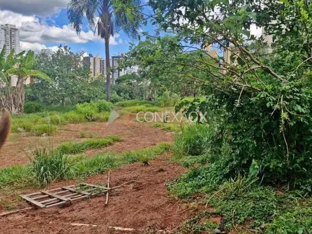 Terreno comercial para Venda em Campinas/SP Parque Rural Fazenda Santa Cândida