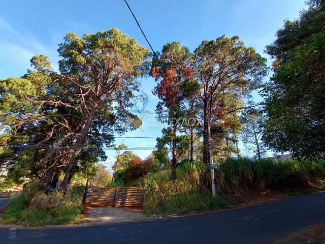 Terreno comercial para Venda em Campinas/SP Parque Rural Fazenda Santa Cândida