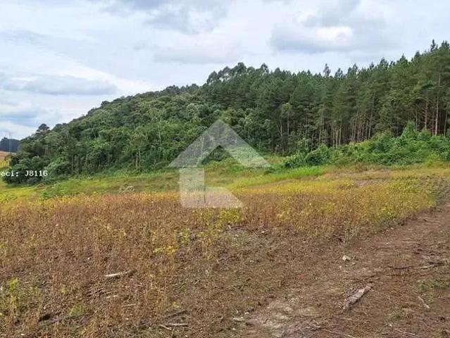 Terreno comercial para Venda em Campo Magro/PR Centro