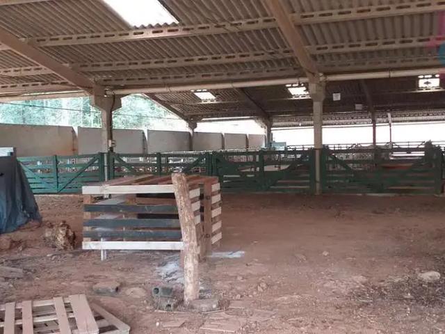 Terreno comercial para Venda em Campo Largo/PR Itambezinho 2 Quartos