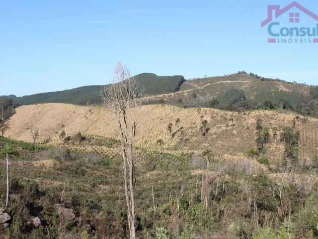 Terreno comercial para Venda em Campo Largo/PR Itambezinho