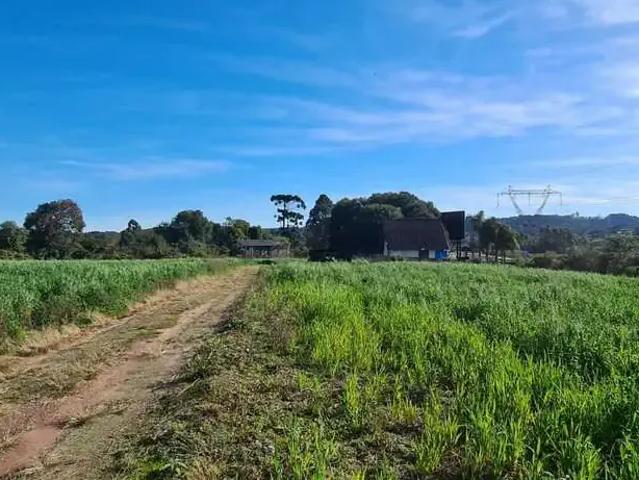Terreno comercial para Venda em Campo Largo/PR Jardim Bela Vista