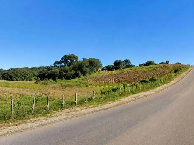 Terreno comercial para Venda em Campo Largo/PR Vila Solene