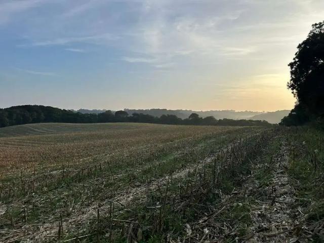 Terreno comercial para Venda em Campo Largo/PR Zona Rural