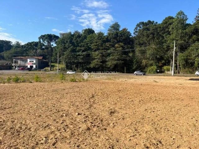 Terreno comercial para Venda em Canela/RS Bosque Sinoserra
