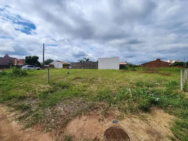 Terreno comercial para Venda em Cascavel/PR Cascavel Velho