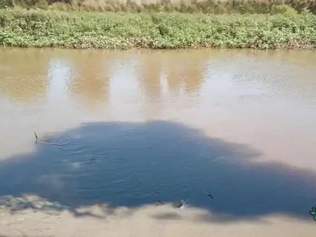 Terreno comercial para Venda em Caraguatatuba/SP Barranco Alto