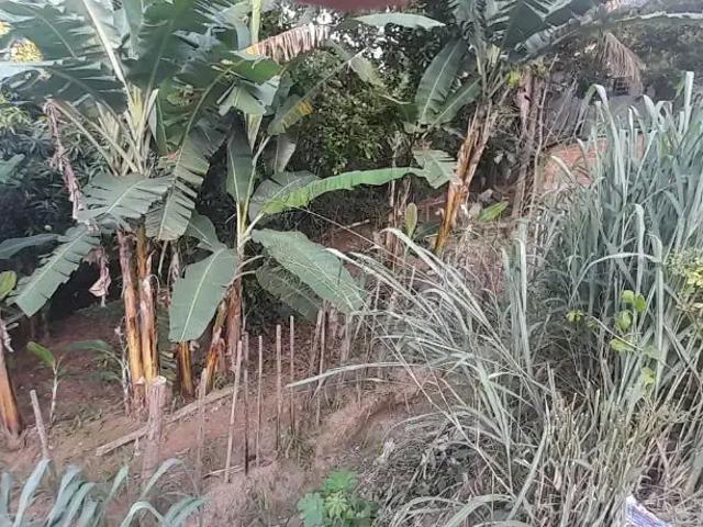 Terreno comercial para Venda em Cariacica/ES Cariacica Sede