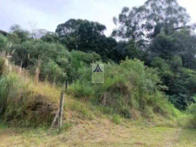 Terreno comercial para Venda em Caxias do Sul/RS Bela Vista