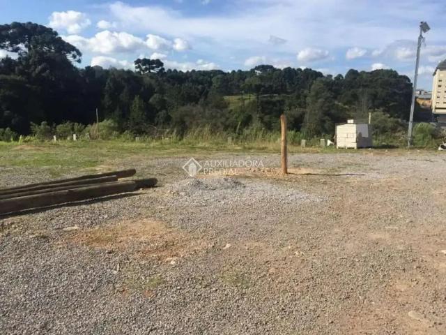 Terreno comercial para Venda em Caxias do Sul/RS Interlagos