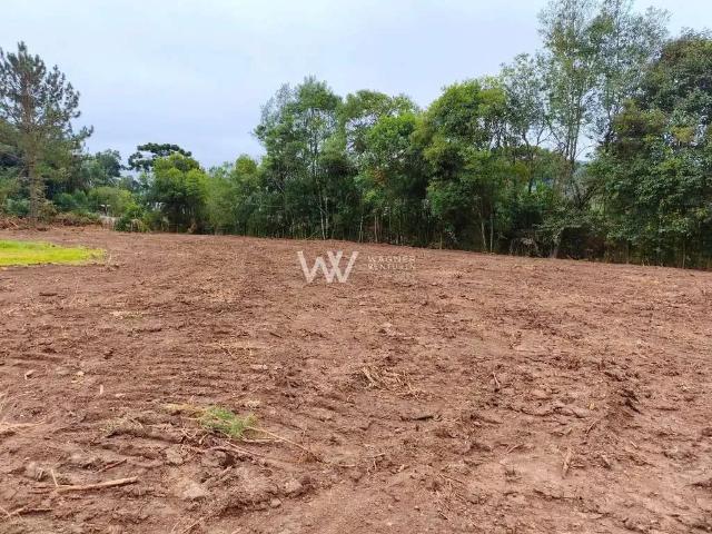Terreno comercial para Venda em Caxias do Sul/RS Monte Bérico