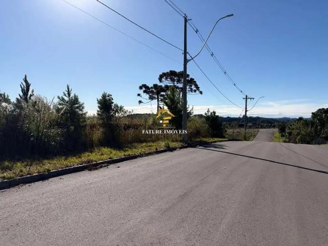Terreno comercial para Venda em Caxias do Sul/RS São Giácomo