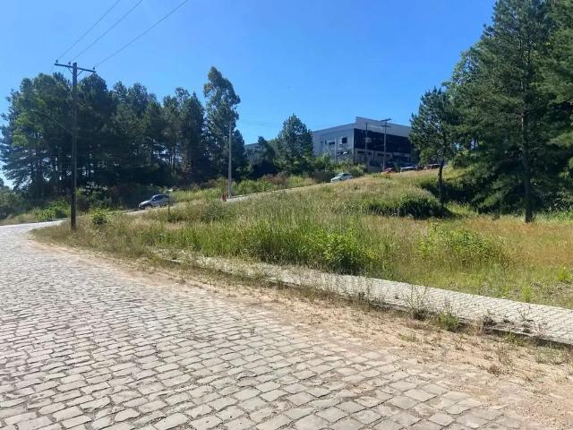 Terreno comercial para Venda em Caxias do Sul/RS São Giácomo