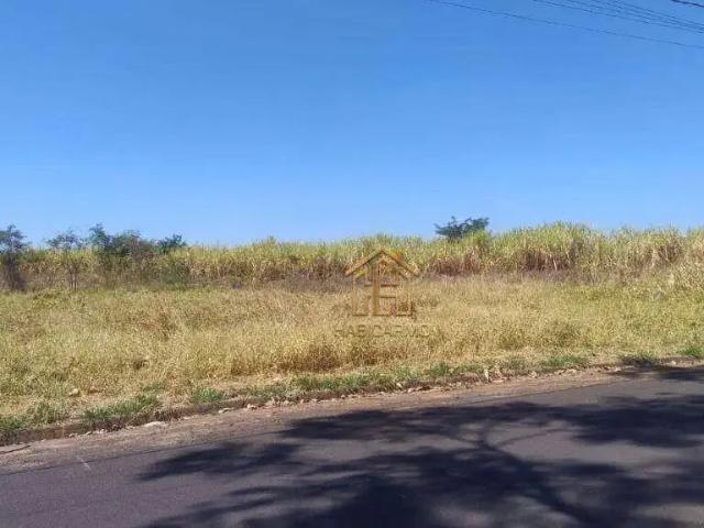 Terreno comercial para Venda em Cedral/SP Centro