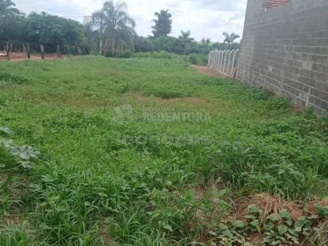 Terreno comercial para Venda em Cedral/SP Estância Das Paineiras