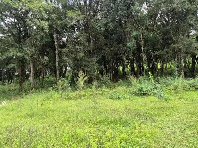 Terreno comercial para Venda em Colombo/PR Centro