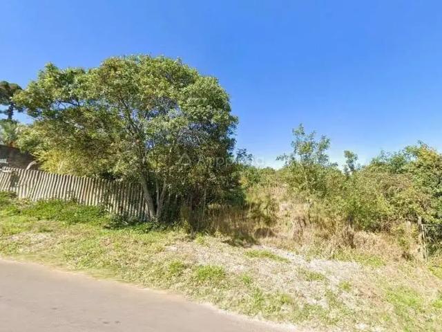 Terreno comercial para Venda em Colombo/PR Roça Grande