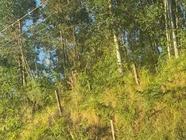 Terreno comercial para Venda em Criciúma/SC Nossa Senhora da Salete