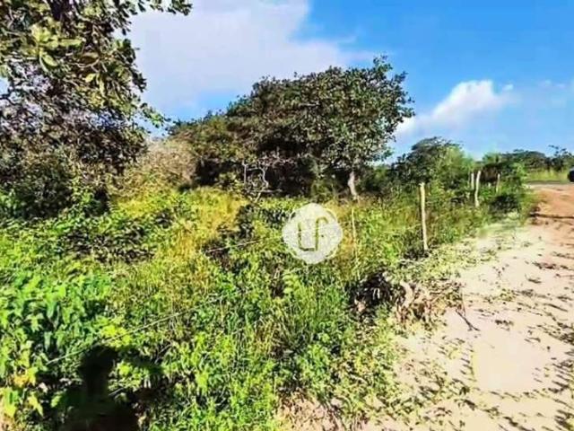 Terreno comercial para Venda em Cruz/CE Preá